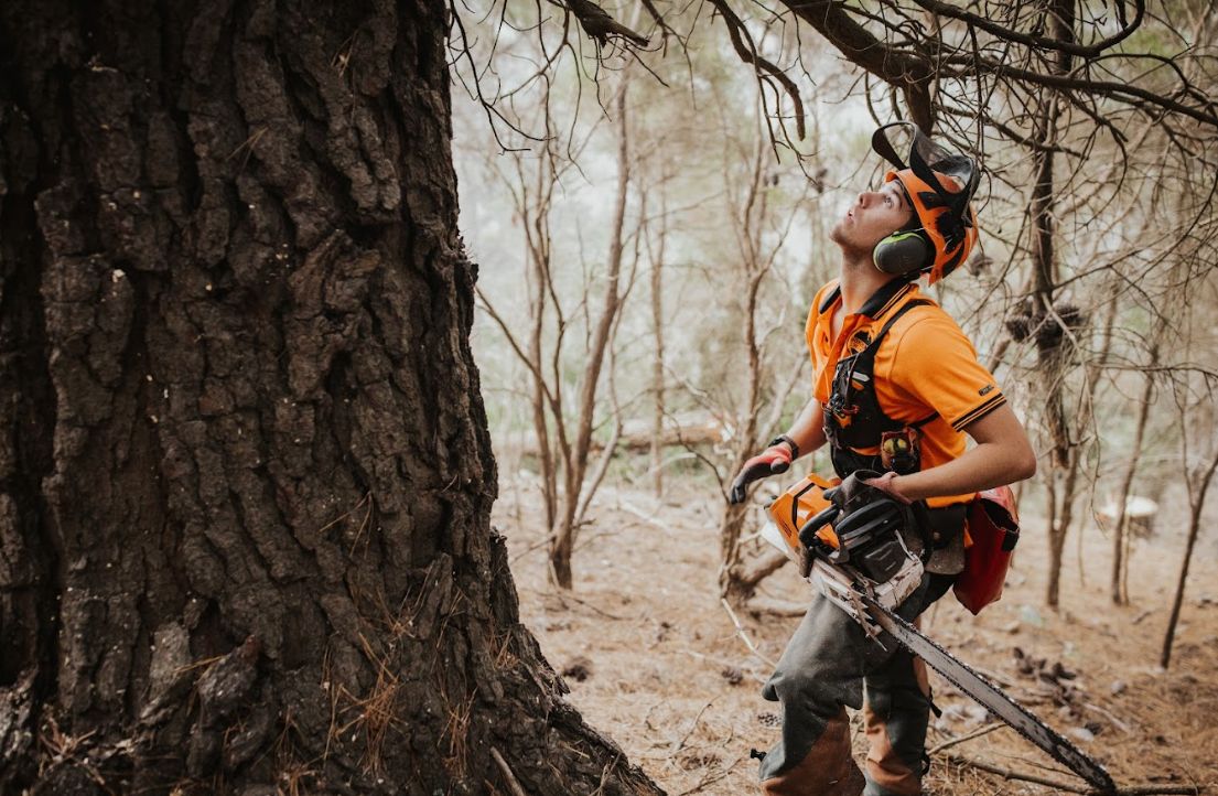 Plant Pest Control | Rentokil Rural & Environmental Services